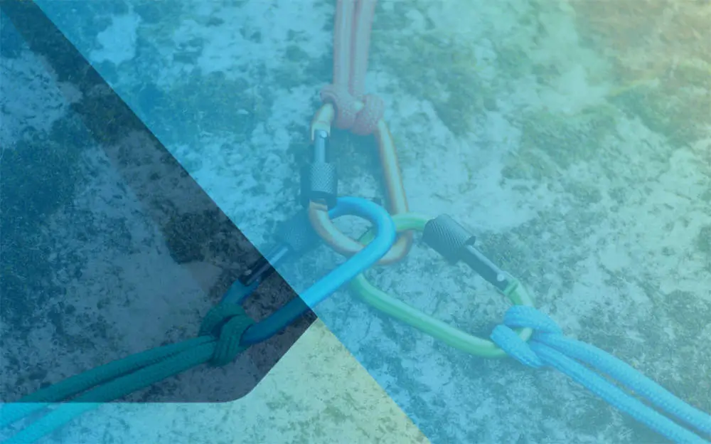 Top-Ranked Programming Language Python - PLANTA